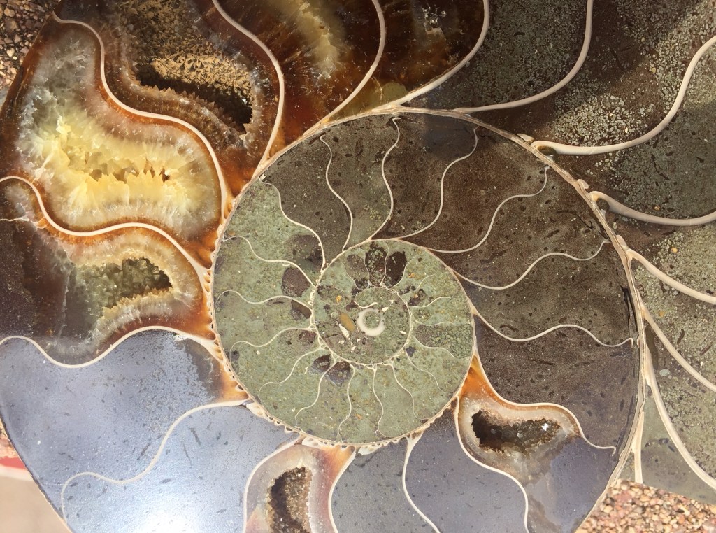 Ressources Adhérents – Maison du Processwork